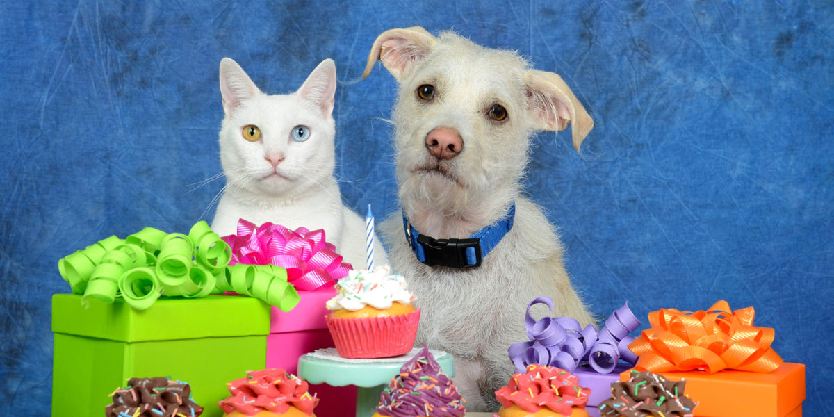 March is Pet Poison Awareness Month! — Epi-Pet